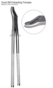 Duck Bill Extracting Forceps 19" Veterinary Instruments Medical Tools Shop